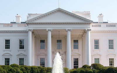 Are Wrongful Termination Settlements Taxable? What to Expect - Amicus Settlement Planners